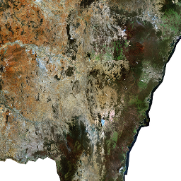 ArcGIS Web Application